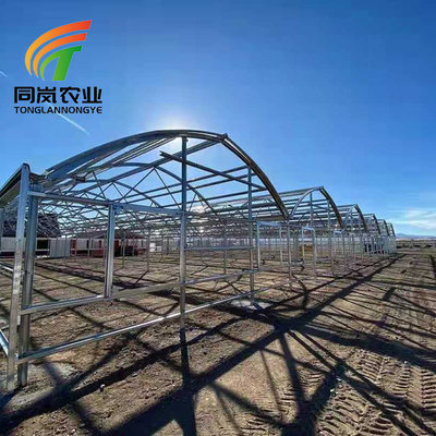 Tonglan China Agricultural Single-Span Plastic Greenhouses Kits For Sale With Equipment And Technology Manufacturer