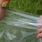 Low Cost Tropical Transparent Single Span Plastic Shed Companies Greenhouses Other Green house Agriculture