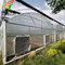 Tropical Greenhouses And Commercial Hydroponic Growing Systems For Tomato and Strawberry