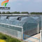 Low Cost Commercial Plastic Film Lettuce Hydroponic Greenhouse For Sale