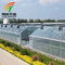 Agricultural Greenhouse Hydroponics NFT Growing Soilless Culture System For Tomato Strawberry Cucumber