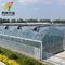 Tonglan Manufacturer Cheap Mini Small House UV Plastic Sheets Greenhouse System Film Cover Frame Structure For Sale